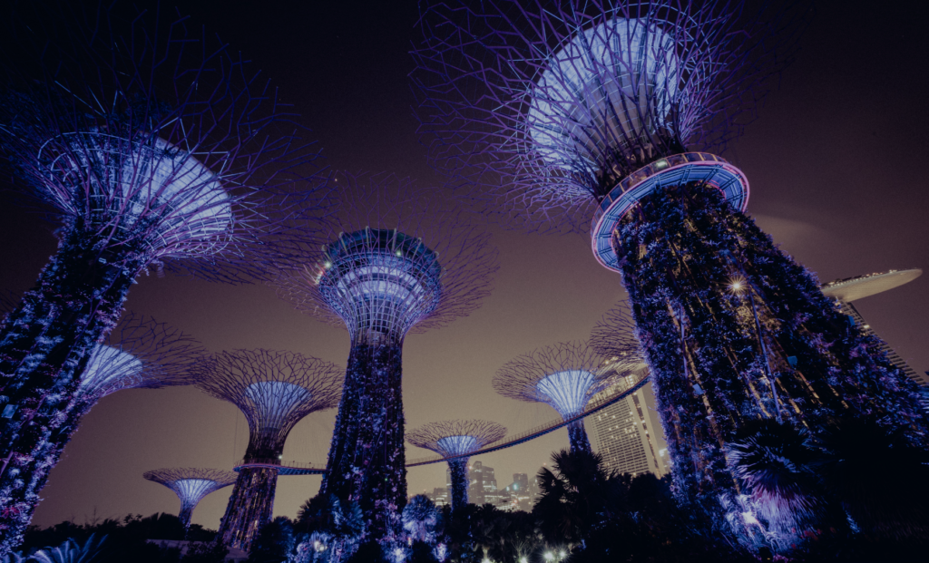 Home - The Expansive